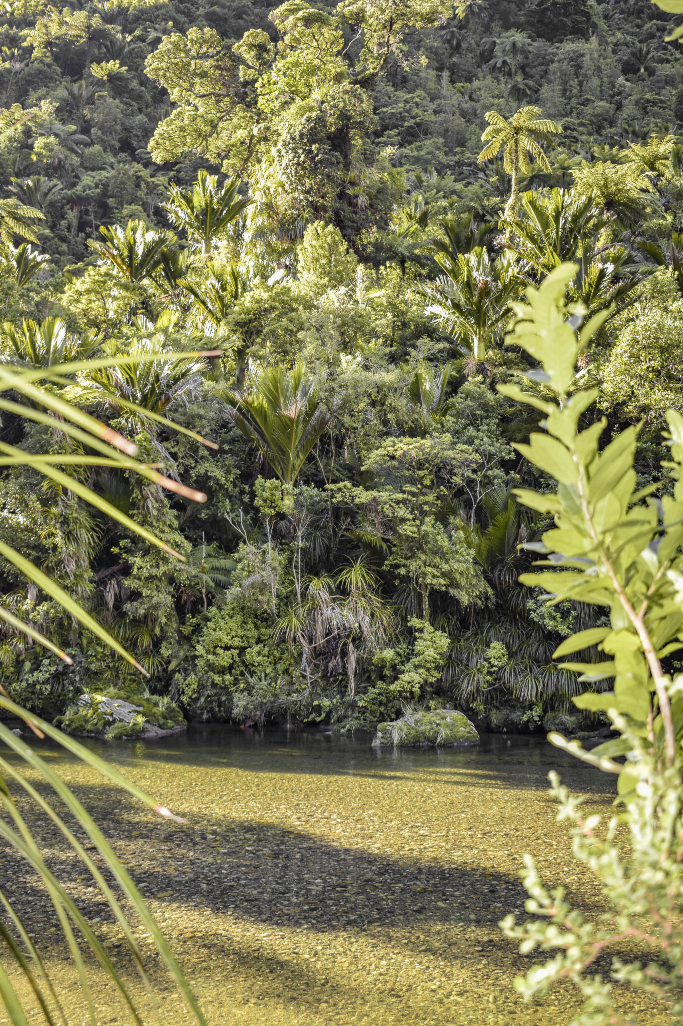 Punakaiki Travel Guide: Most Underrated Stop on New Zealand’s West Coast