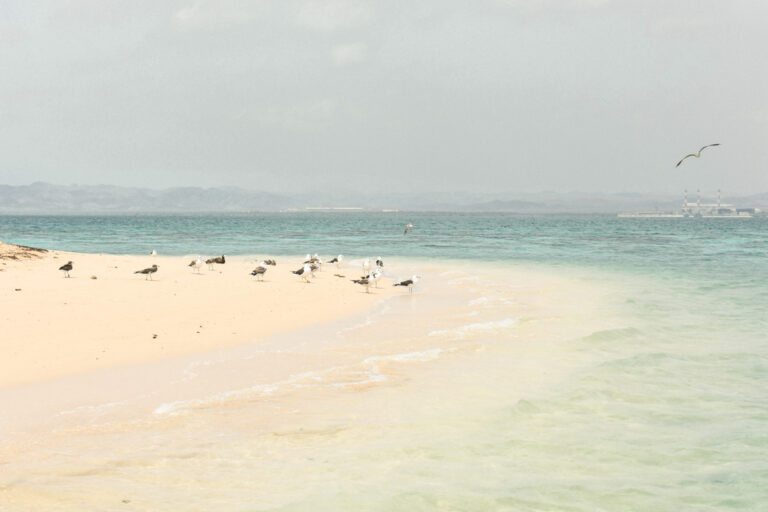 Top Attractions and Things to Do in Massawa, Eritrea